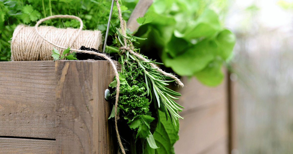 Näin hyödynnät tuoreyrttejä ruoanlaitossa ja hyvinvoinnissa