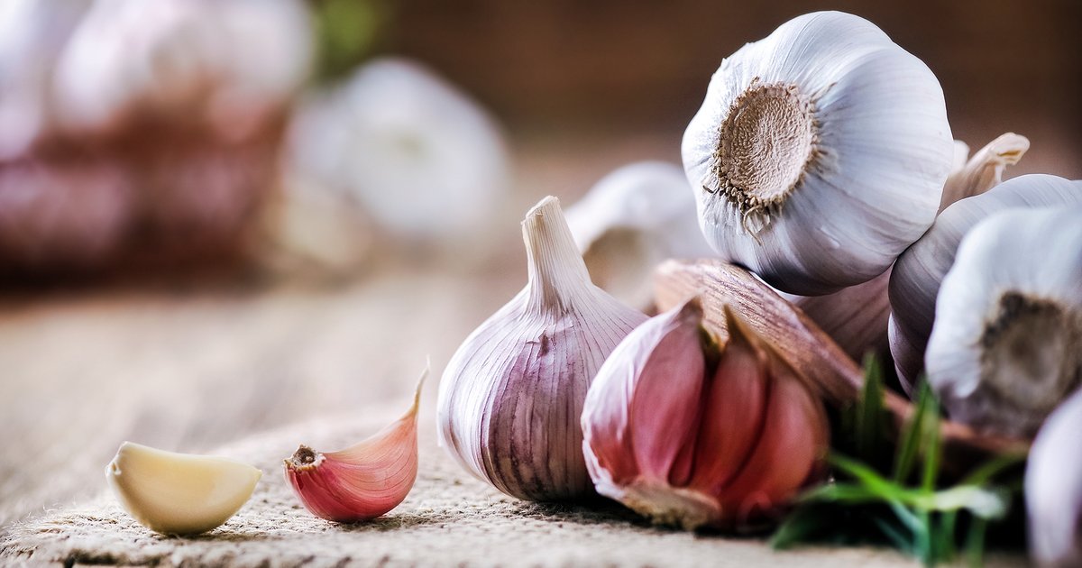 Valkosipuli keittiössä ja kotipuutarhassa – vanha rohdos suosiossa